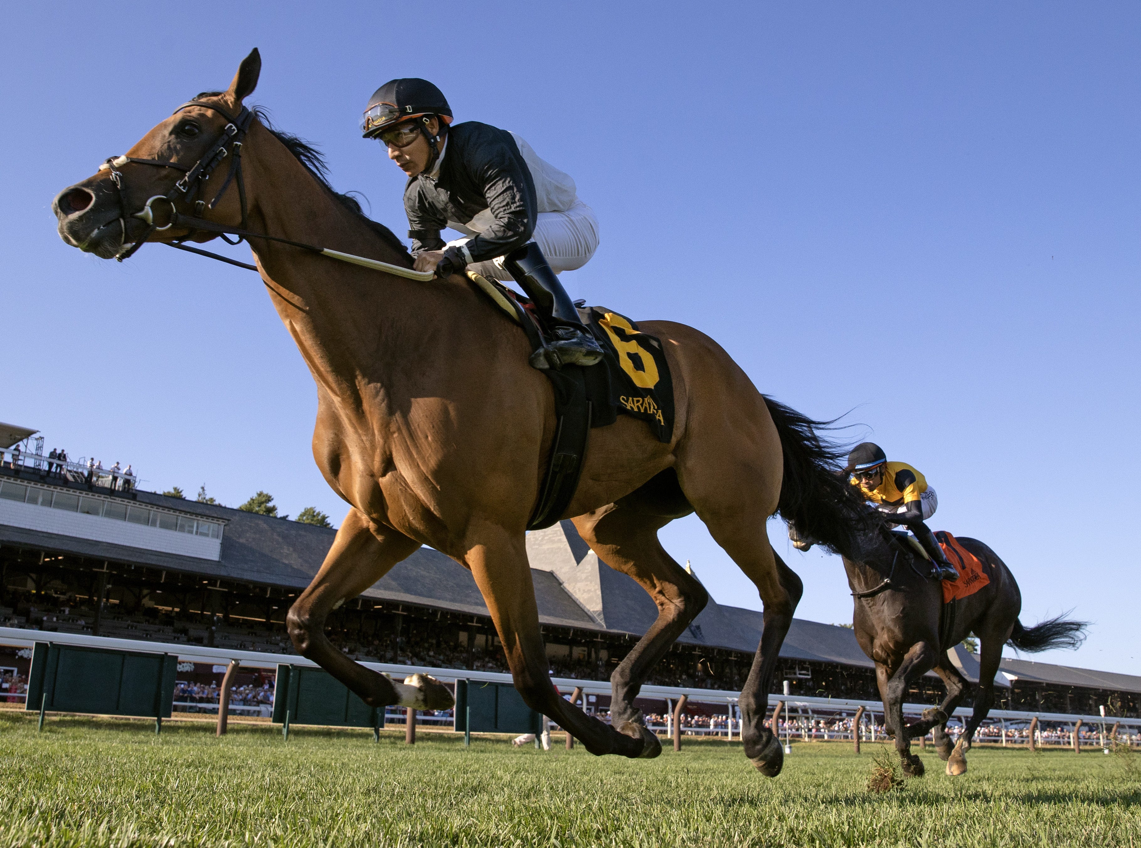 Future Is Now seeks to avenge rare loss in the Franklin